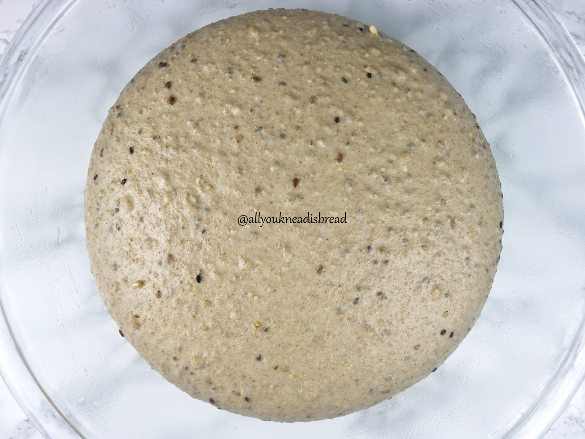 Fiber packed loaf - All you knead is bread