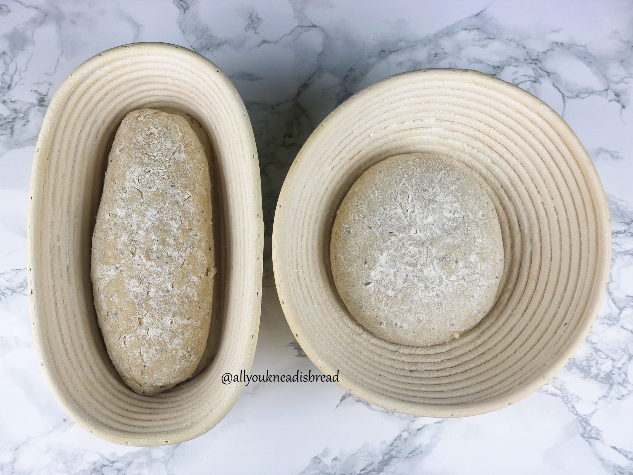 Fiber packed loaf - All you knead is bread