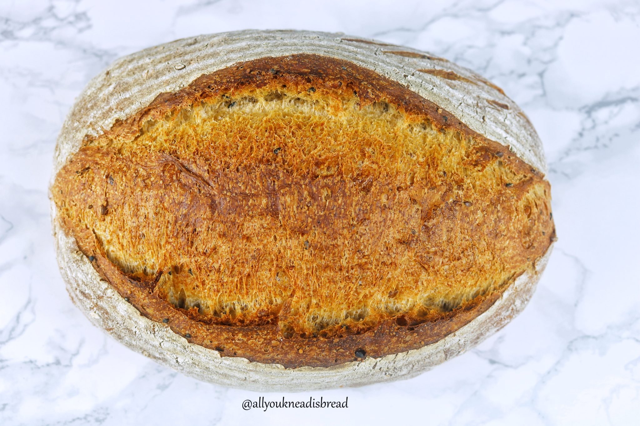 Fiber packed loaf - All you knead is bread