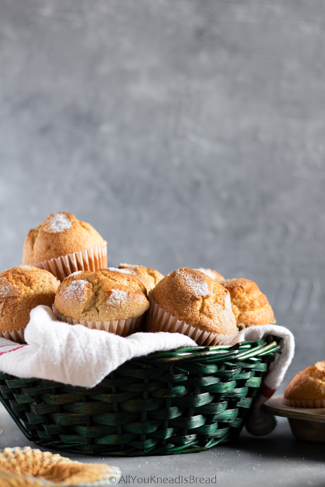 Sourdough Magdalenas - All you knead is bread