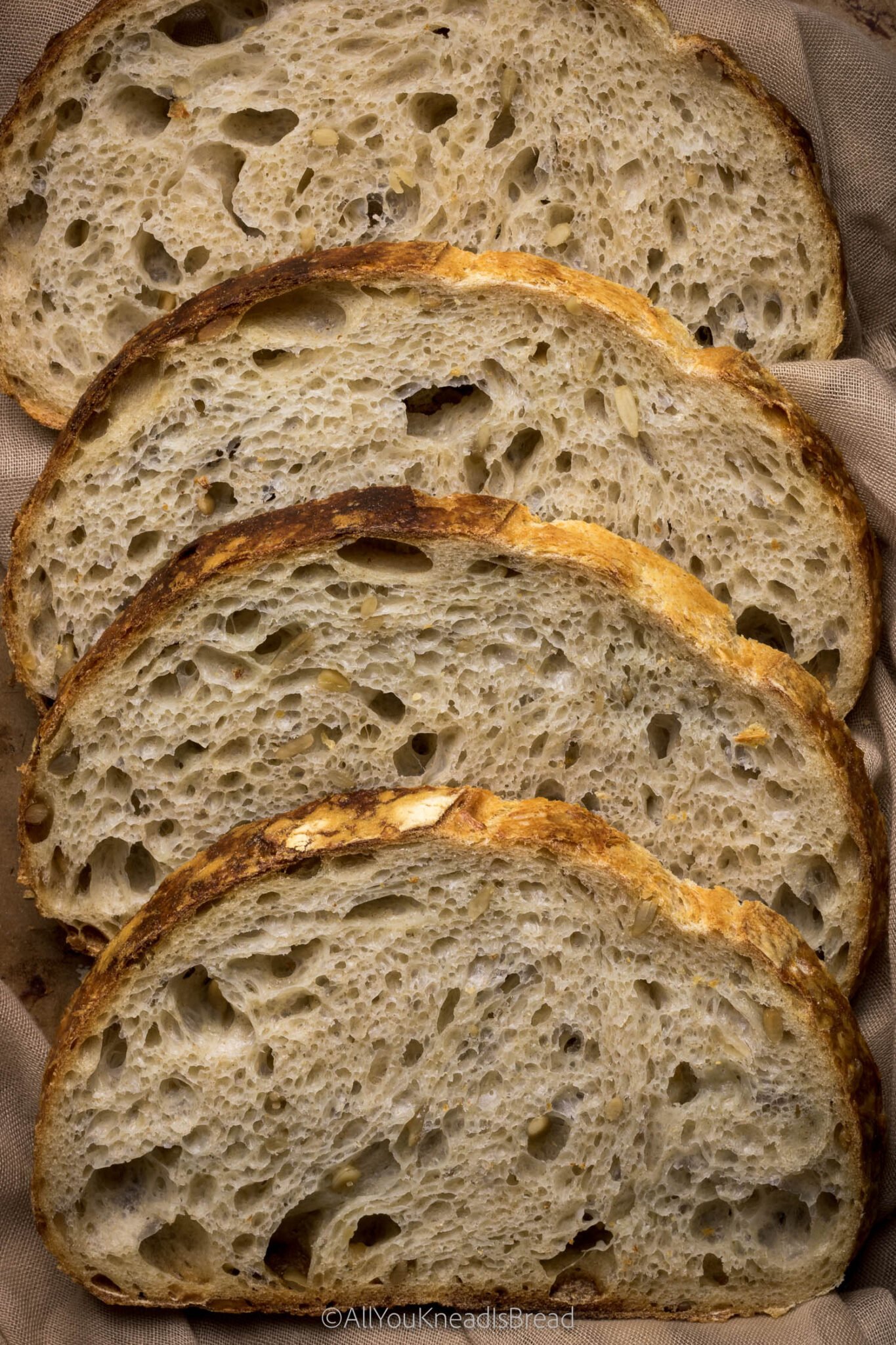 All you need to know about sourdough feeding ratios - All you knead is ...